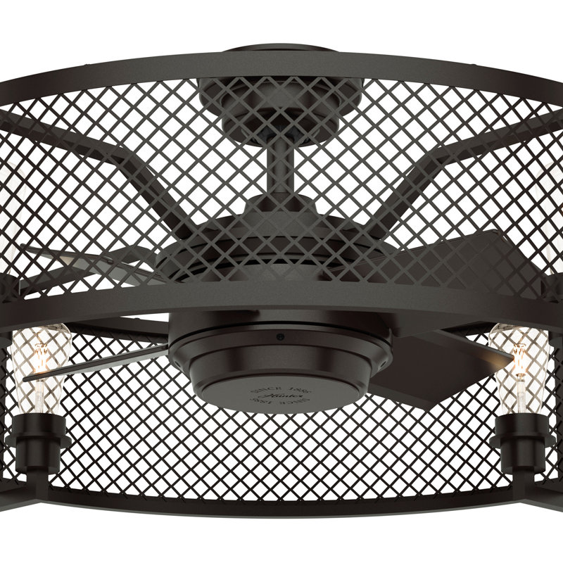 Hunter Fan 34" Fennec 4 - Blade Caged Ceiling Fan with Wall Control and ...