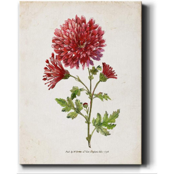 Red Barrel Studio® Botanical (3) - Wrapped Canvas Graphic Art | Wayfair