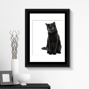 Cat Wall Art You'll Love | Wayfair.co.uk