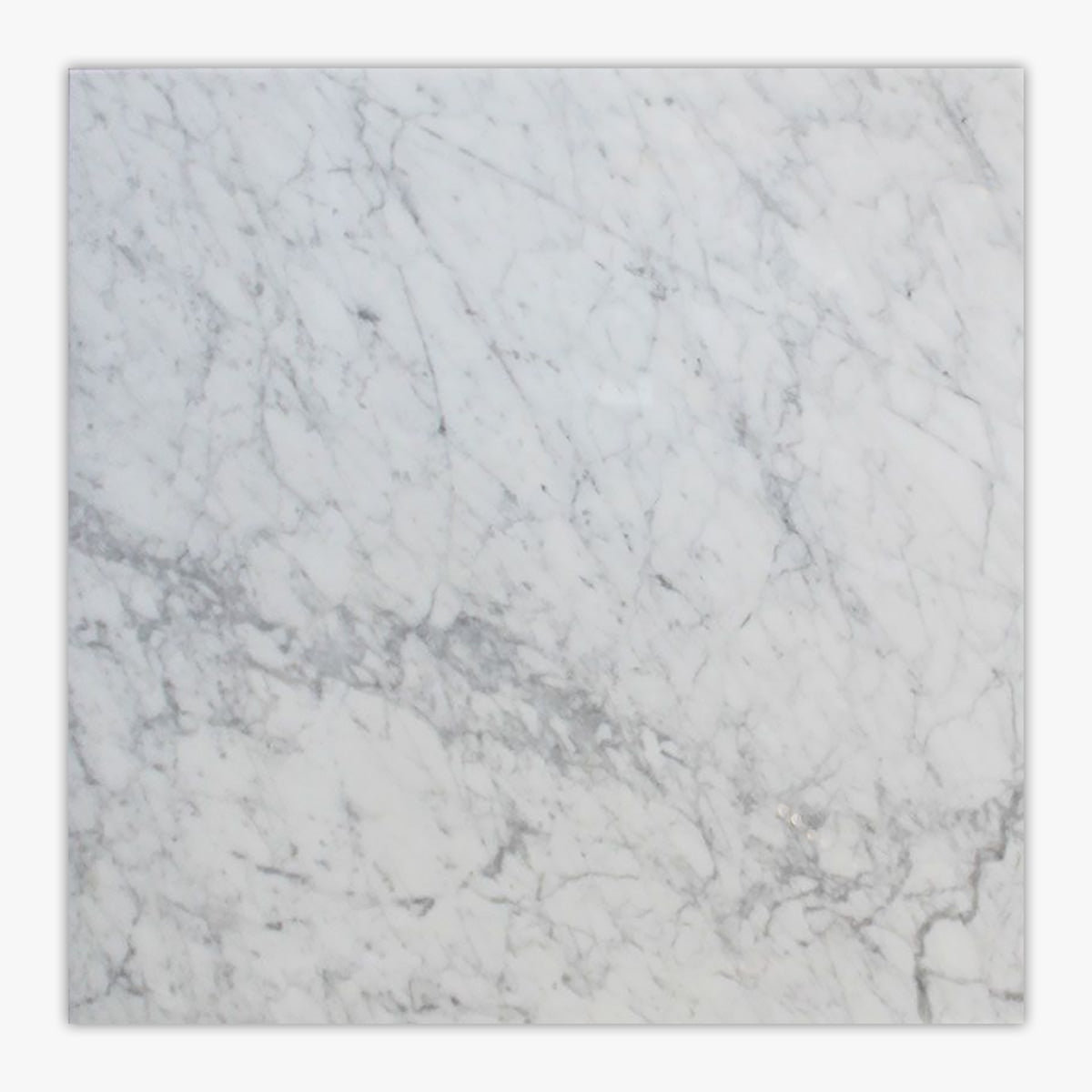 Calacatta Tile 18" x 18" Marble Singular Wall & Floor Tile | Wayfair