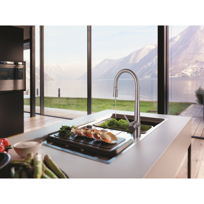 Franke Pull Out Kitchen Faucet & Reviews | Wayfair