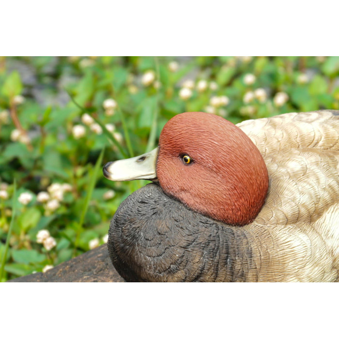 Hi-Line Gift Ltd. MALLARD WITH RED HEAD & Reviews | Wayfair