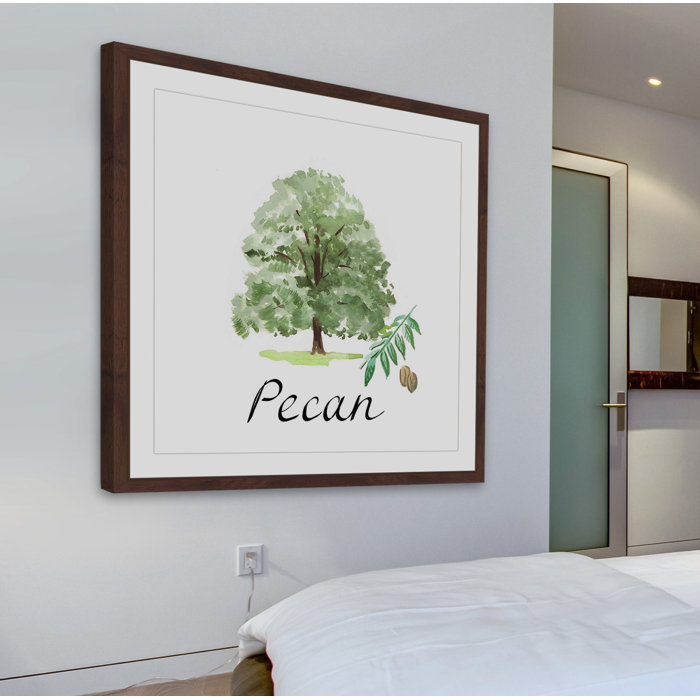 Red Barrel Studio® Pecan Tree - Single Picture Frame Print | Wayfair