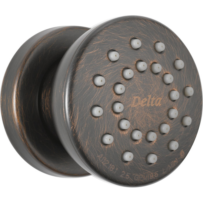 Delta Full Adjustable Body Spray with TouchClean & Reviews | Wayfair