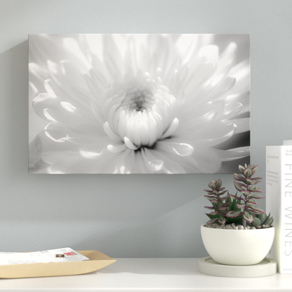 Ebern Designs Infrared Flower 2 - Wrapped Canvas Photograph & Reviews ...