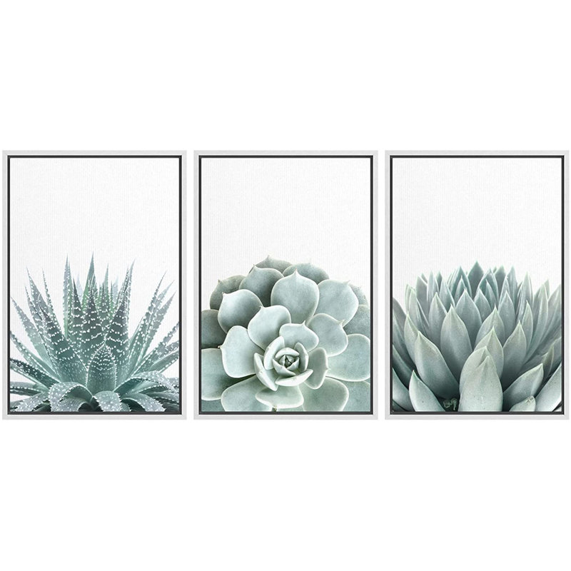 IDEA4WALL Green Succulent And Cactus Variety Wilderness Nature Framed ...