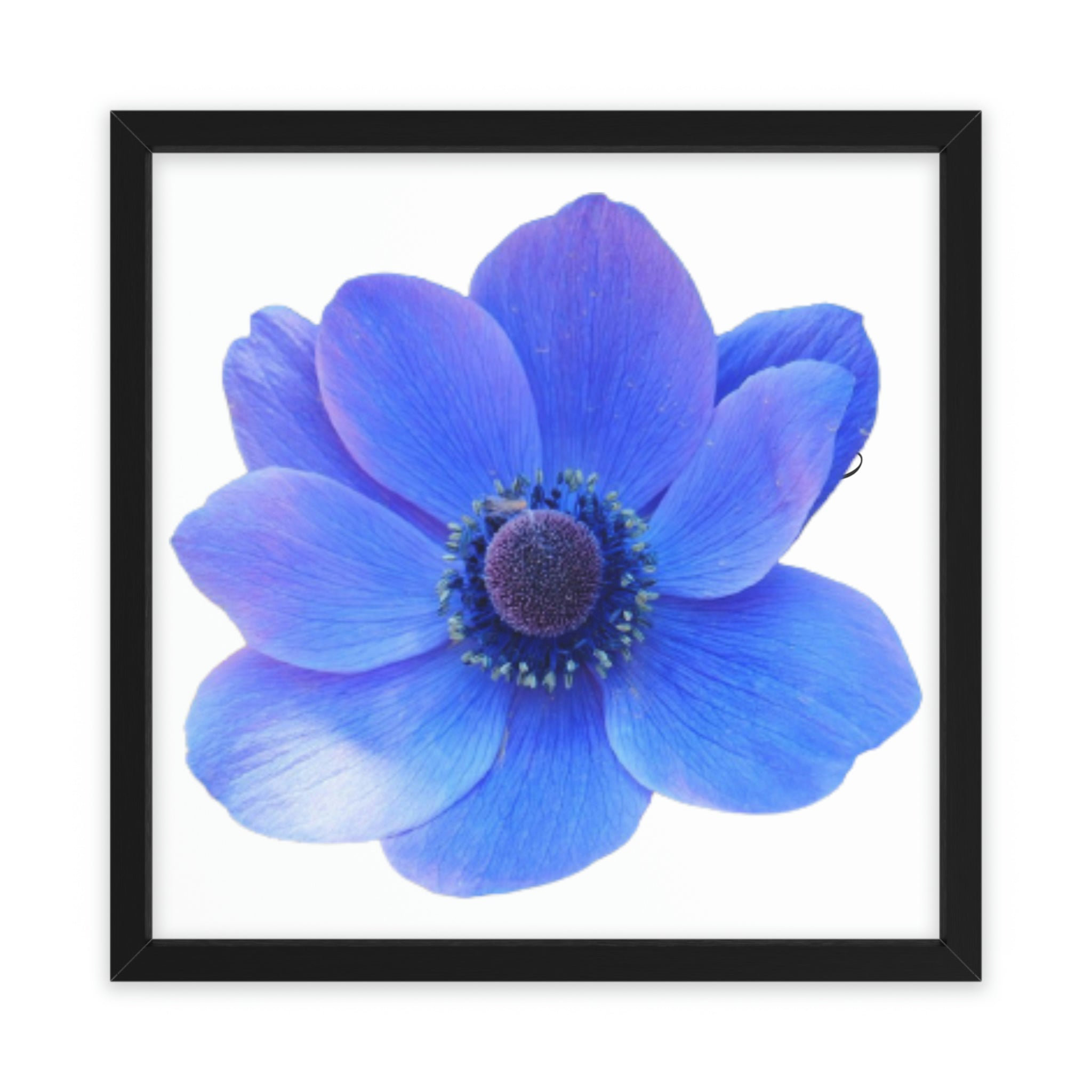 Latitude Run® Blue Flower - Picture Frame Illustration | Wayfair