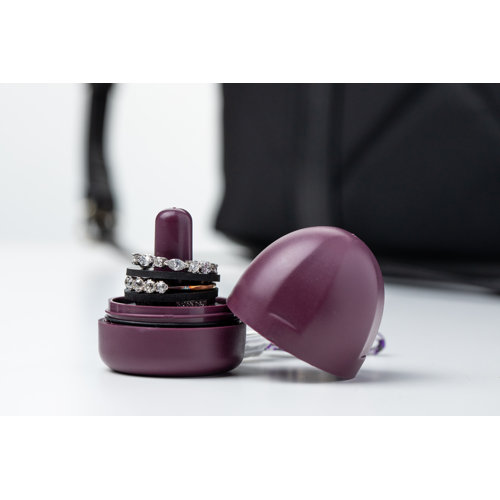 Orren Ellis Security Travel Ring Holder | Wayfair