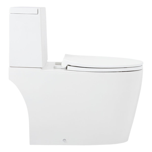 Signature Hardware Sitka 1.28 Gallons Per Minute GPF Elongated Chair ...