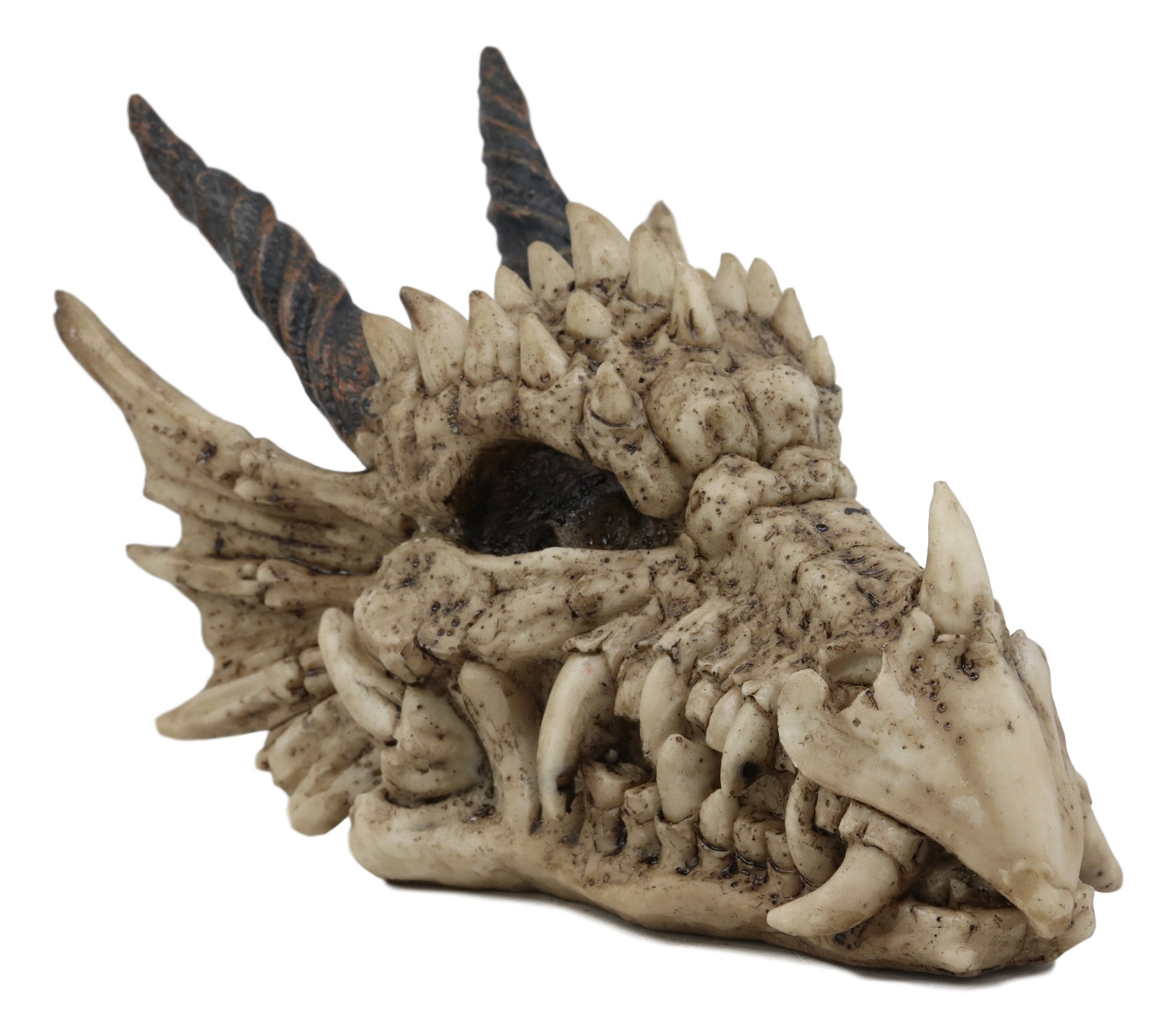 World Menagerie Osbourn Jurassic Beowulf Elder Dragon Head Skull ...