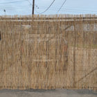 Backyard X-Scapes 6 ft. H x 16 ft. W Natural Jumbo Reed Fence ...