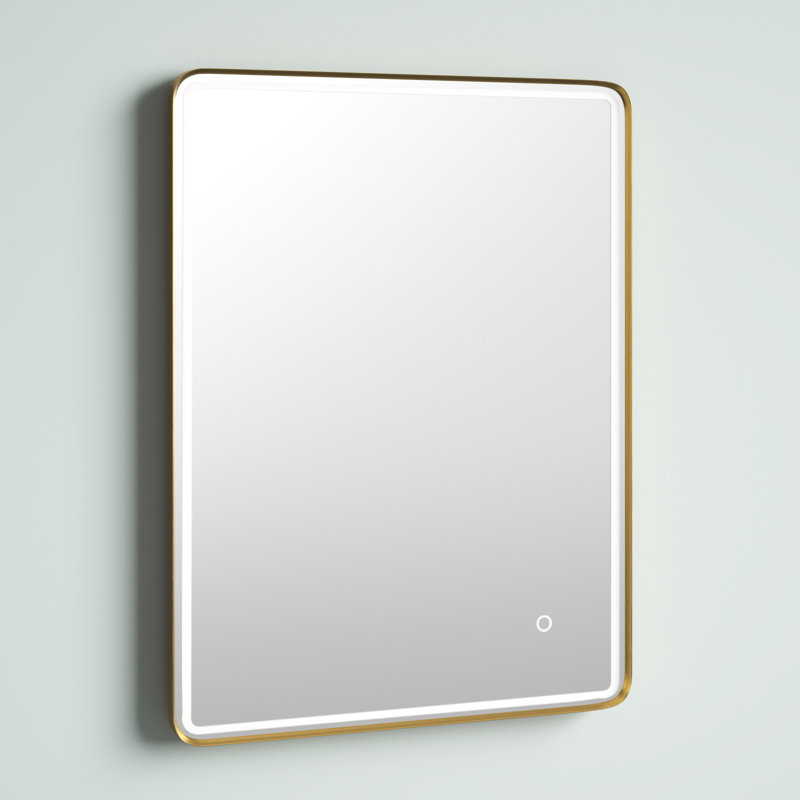Mercury Row® Ortegon Rectangle LED Metal Wall Mirror & Reviews | Wayfair