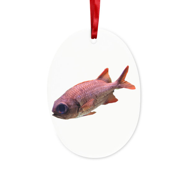 The Holiday Aisle® Fish Photo Ornament | Wayfair