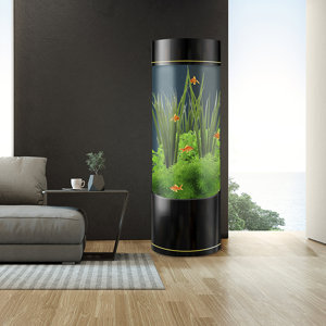 Fish Tanks & Aquariums You'll Love in 2023