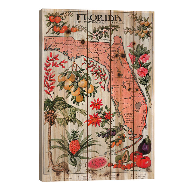 Trinx State Map Of Florida (Natural Resources) - Vintage Poster On ...