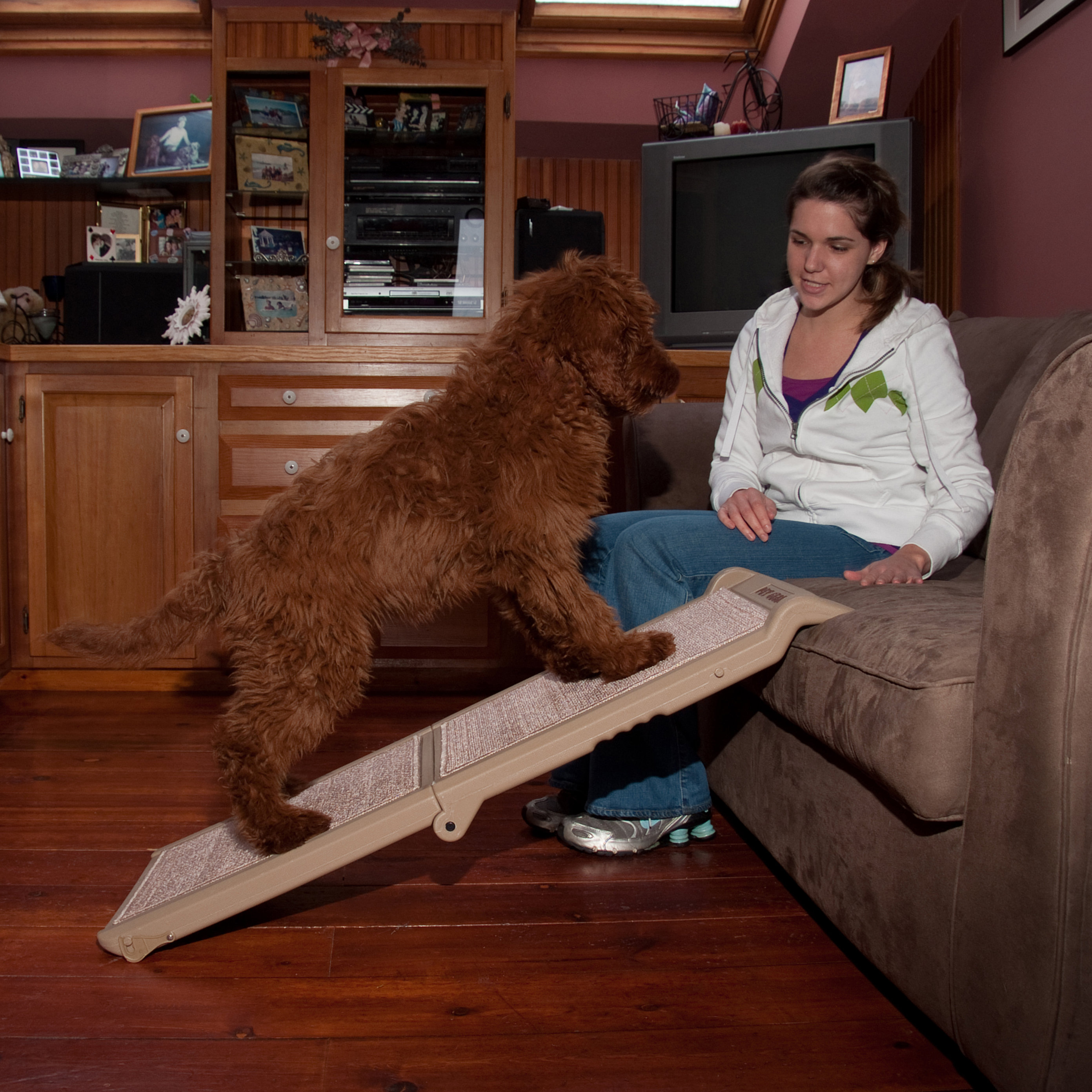 Pet Gear Indoor Bi-Fold Half 42" Pet Ramp & Reviews - Wayfair Canada