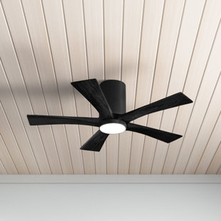 Modern Small Room Ceiling Fans | AllModern