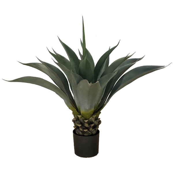 The Seasonal Aisle 65Cm Agave Plant in Pot | Wayfair.co.uk