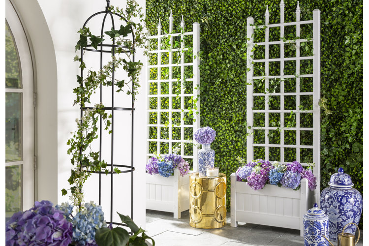 What Is a Trellis? - Wayfair Canada