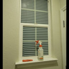 Latitude Run® Blinds Pattern Decorative Privacy Window Decal & Reviews ...