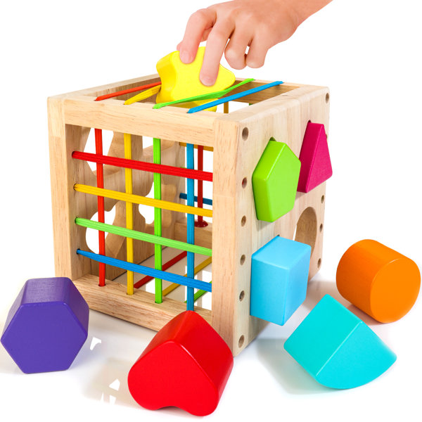Woodmam Wooden Sorter Cube with 8pcs Rattling Shapes | Wayfair