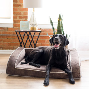 Wayfair | La-Z-Boy Dog Beds You'll Love in 2023