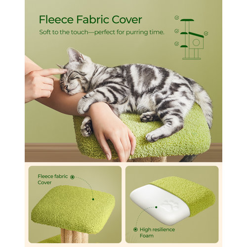 Archie & Oscar™ 43" Timms Cat Tree & Reviews | Wayfair