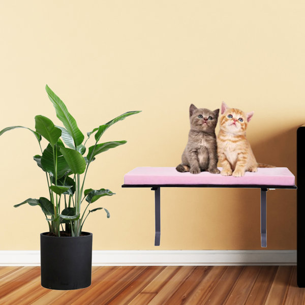 Tucker Murphy Pet™ Celino Rectangle Cat Bed - Wayfair Canada