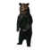 Advanced Graphics Brown Bear Cardboard Stand-Up & Reviews | Wayfair