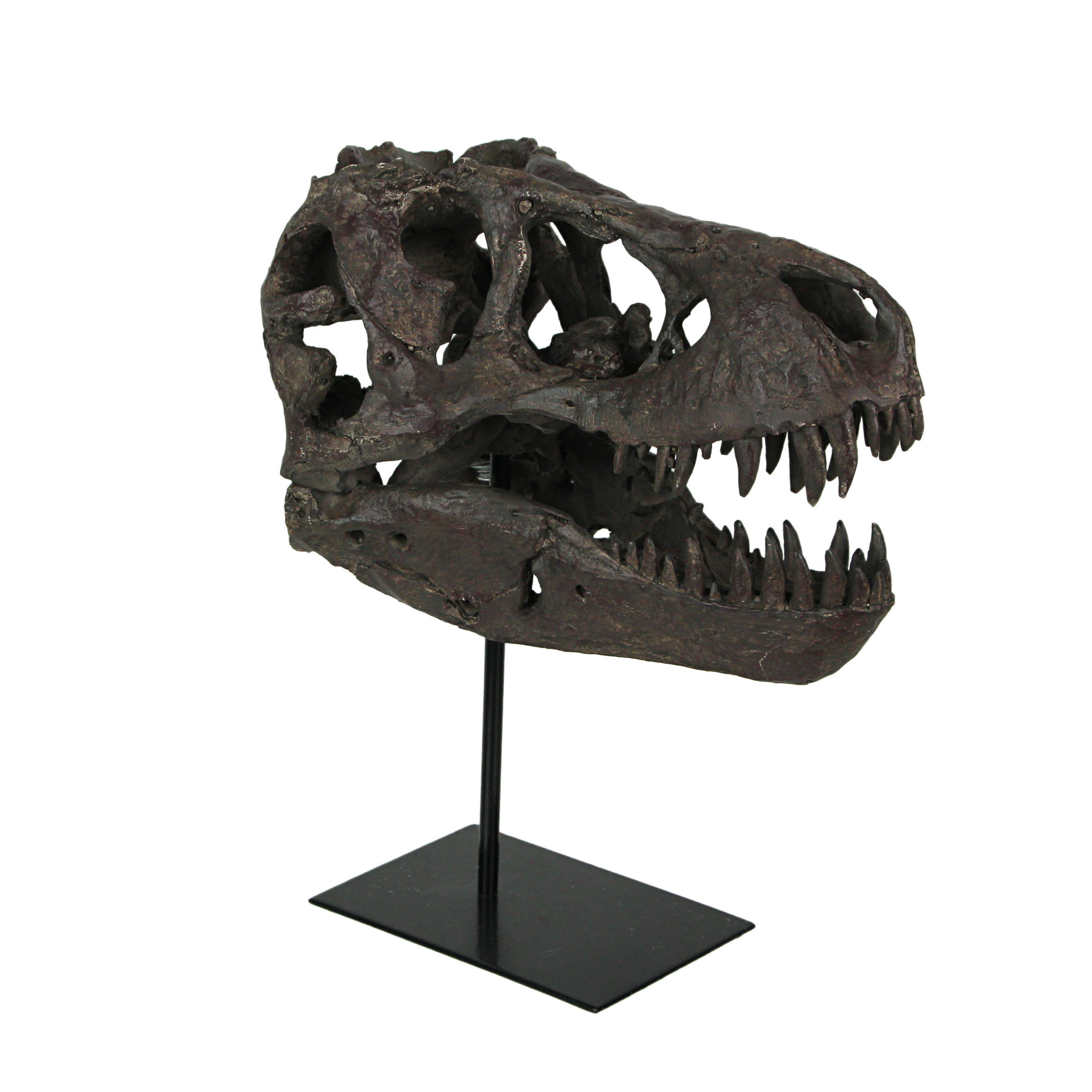 Trinx T-Rex Dinosaur Skull Mounted Tyrannosaurus Rex Fossil Figurine ...