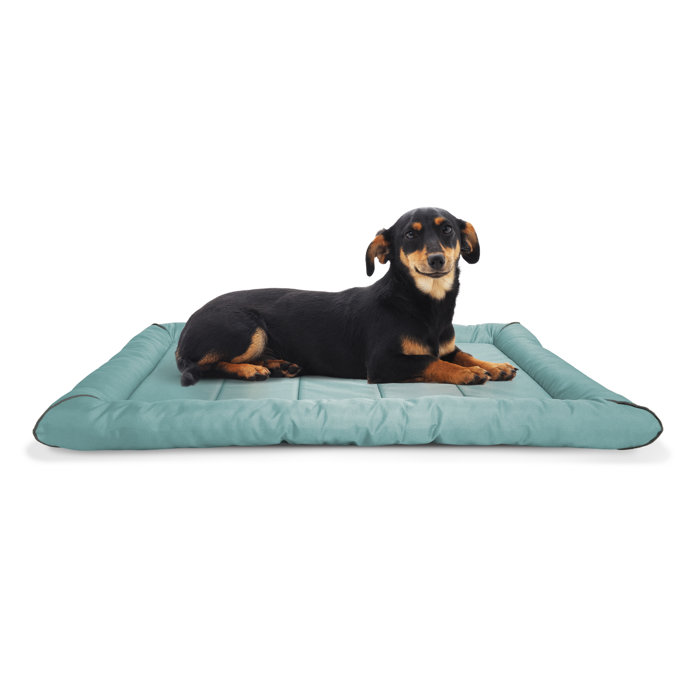 Tucker Murphy Pet™ Foye Extra Tuff Crate Mat & Reviews | Wayfair