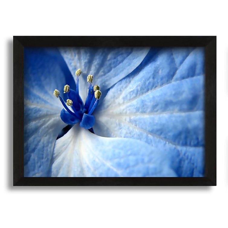 Ophelia & Co. Soft Blue Flower - Picture Frame Photograph on Canvas ...