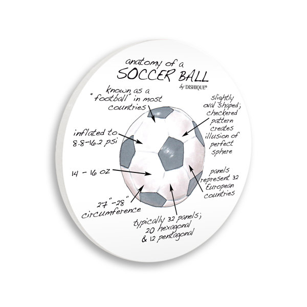 Stupell Industries Anatomy Of Soccer Ball Informative Learning Sports ...