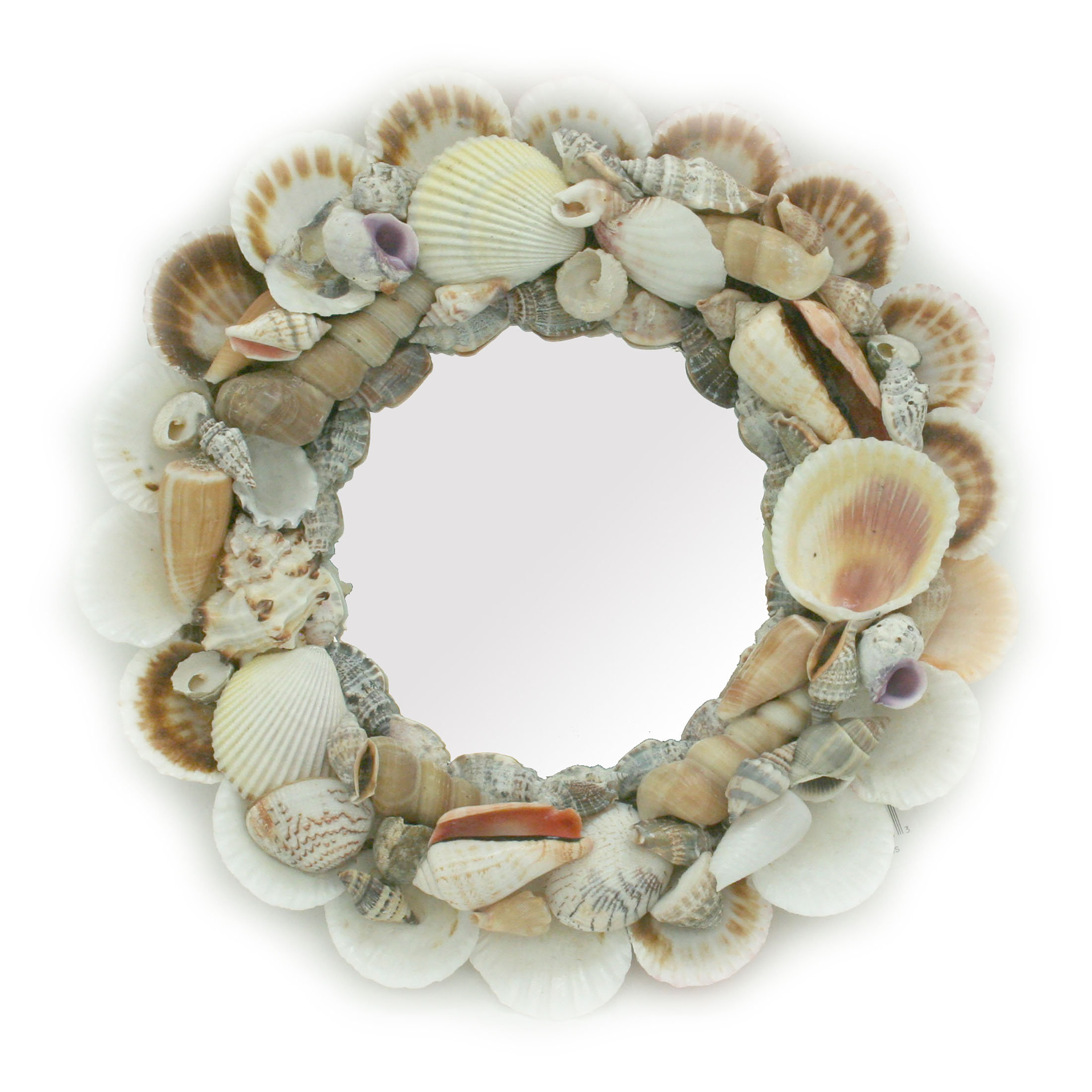 Highland Dunes Tahmina Round Shell Wall Mirror | Wayfair