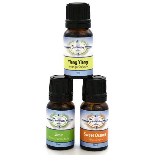 Destination Oils Happy Emotion Boost Essential Oil Set | Wayfair