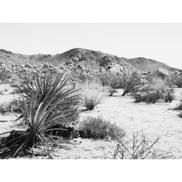 Union Rustic Road Trip II Crop - Wrapped Canvas Print | Wayfair