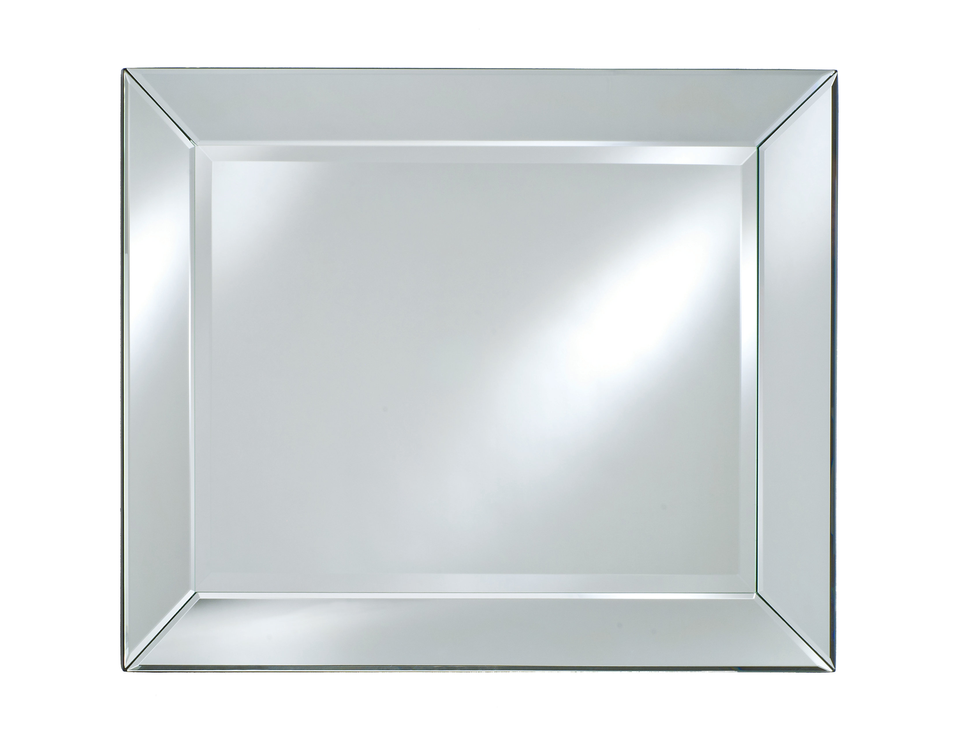 Alcott Hill® Molden Rectangle Glass Wall Mirror & Reviews | Wayfair