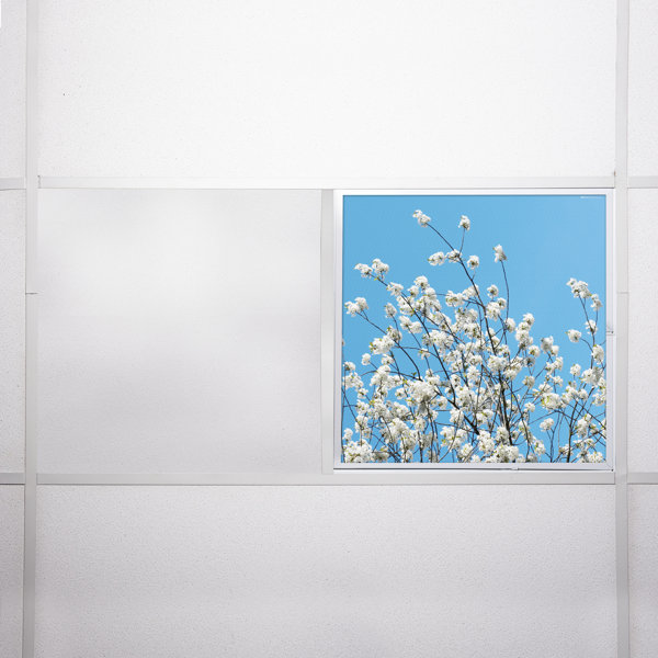 Octo Lights Trees Flexible Decorative Light Cover | Wayfair