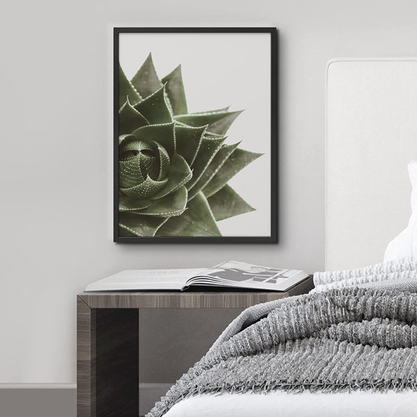 SIGNLEADER Spiky Succulent Side View Nature Plants Realism Modern Close ...