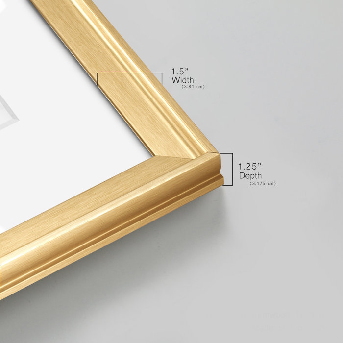 Gracie Oaks Pressed Botanical III by J Paul - Single Picture Frame ...