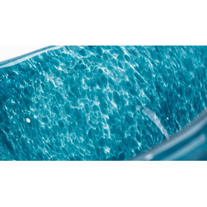 Jamie Young Company Ariel Shells | Wayfair