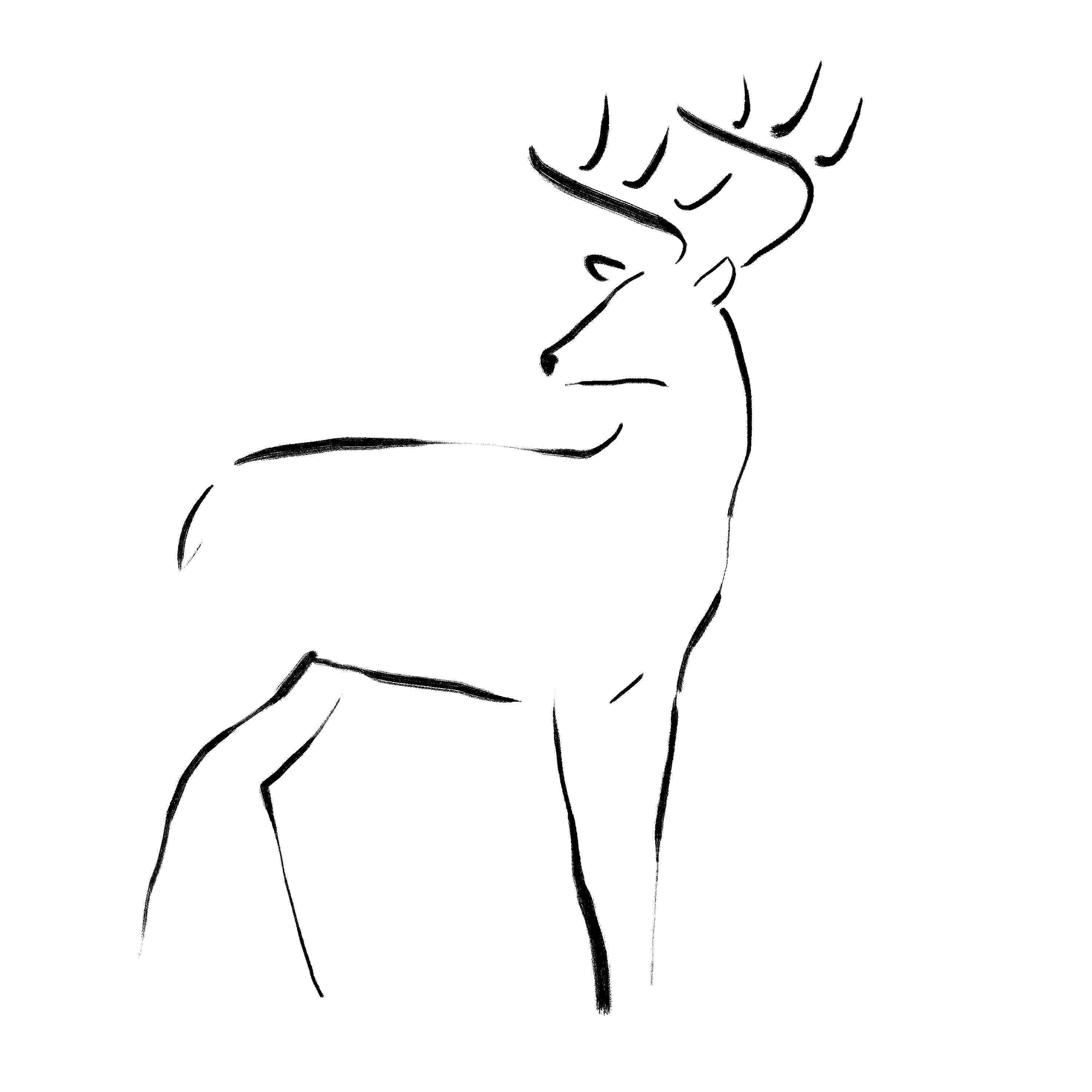 Winston Porter Contour Deer - Wrapped Canvas Drawing Print | Wayfair