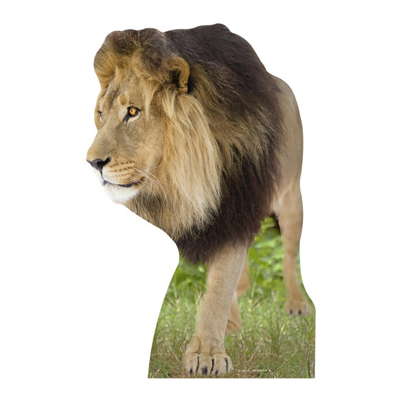 Star Cutouts Lion Cardboard Standup | Wayfair