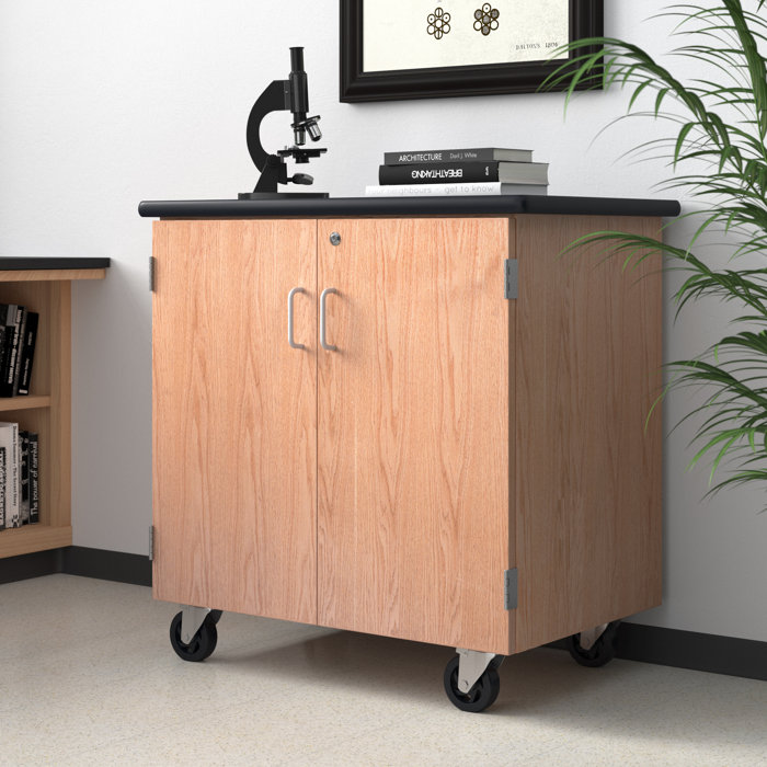 National Public Seating Mobile Science Lab Storage Cabinet Workstation ...