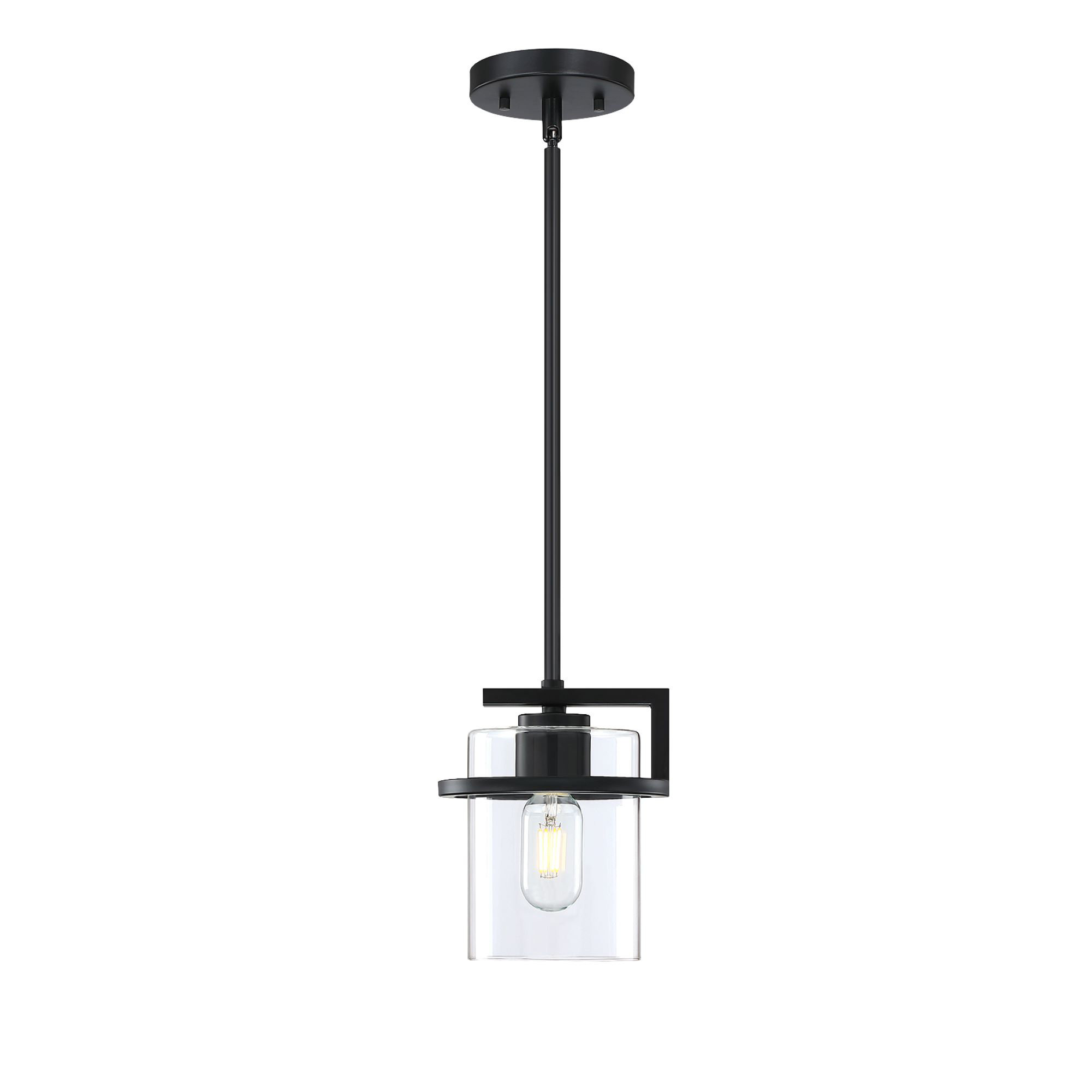 Latitude Run® 1-Light Black Mini Pendant With Clear Glass | Wayfair