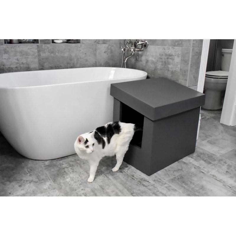 Kitangle, LLC Sloped Standard Litter Box & Reviews | Wayfair