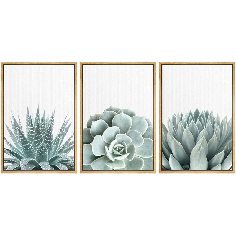 IDEA4WALL Green Succulent And Cactus Variety Wilderness Nature Framed ...