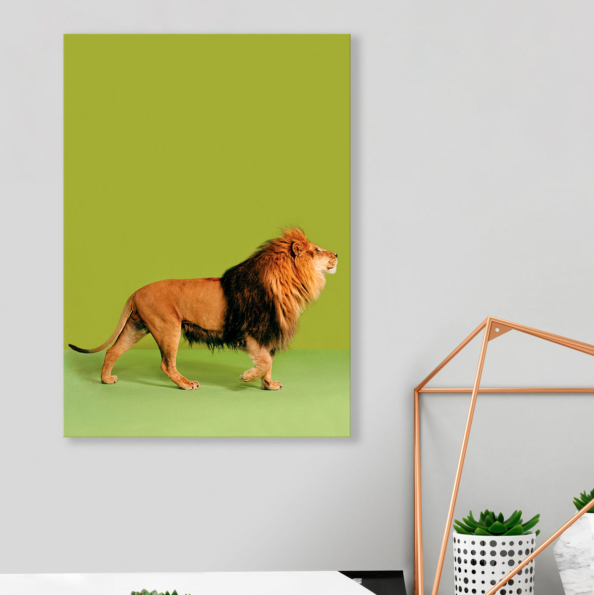 GreenBox Art Lion On Canvas by Catherine Ledner Photograph | Wayfair