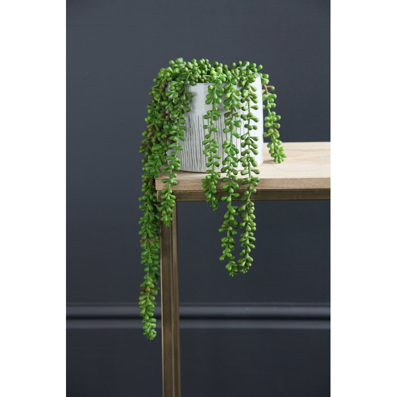The Seasonal Aisle 49Cm Artificial Trailing Succulent Plant in Pot ...