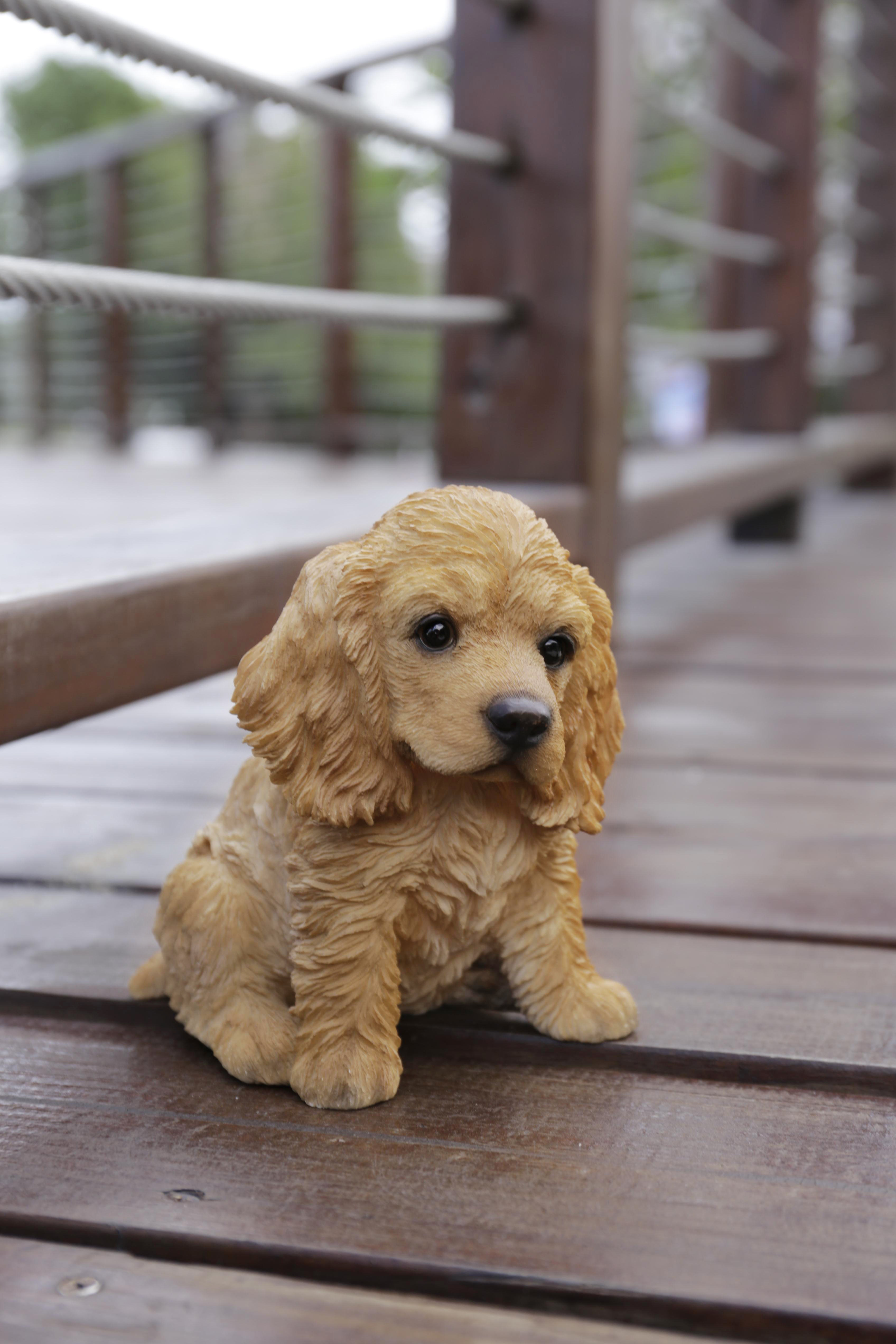 Hi-Line Gift Ltd. Cocker Spaniel Statue & Reviews | Wayfair